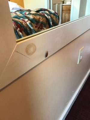 Parlin, NJ Map & Directions - MapQuest