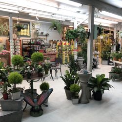 Kent East Hill Nursery - 48 Photos & 15 Reviews - Nurseries & Gardening ...