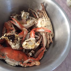 Kristy Crab - Seafood - 6109 Black Horse Pike, Mays Landing, NJ ...
