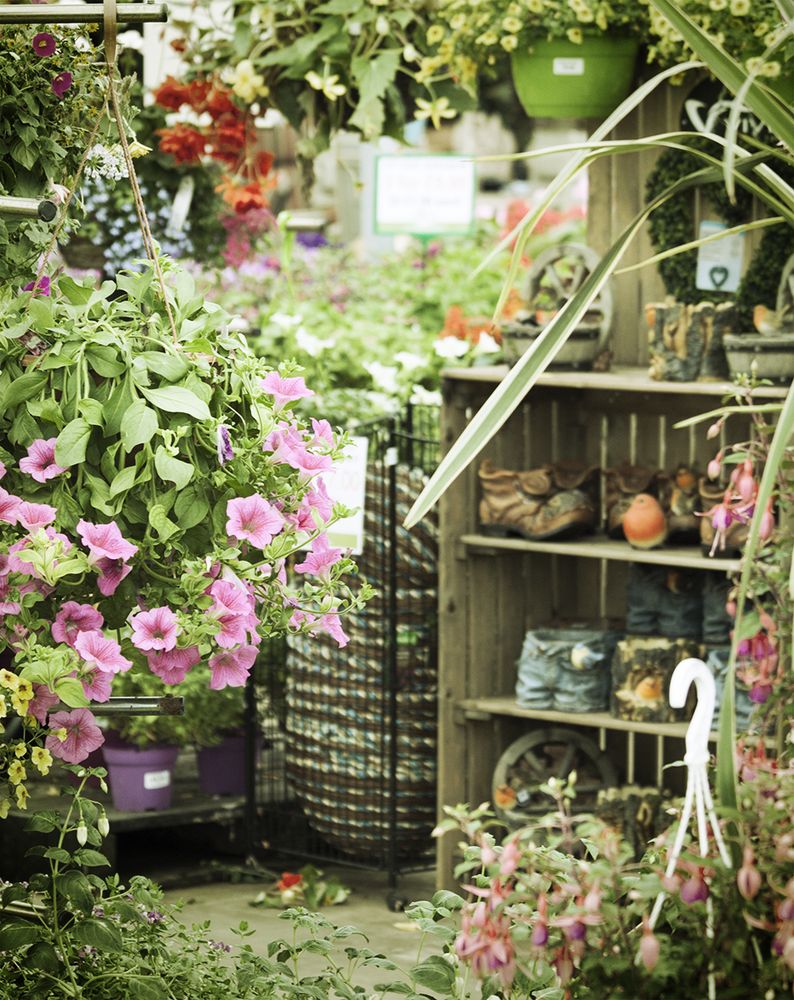 Brigg Garden Centre - Nurseries & Gardening - Bigby High Road, Brigg ...