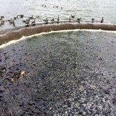 Pymatuning Spillway - 55 Photos & 18 Reviews - Parks - Linesville, PA ...