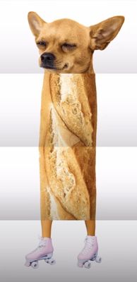 Blandon, PA Map & Directions - MapQuest