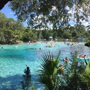 Silver Glen Springs - 110 Photos & 18 Reviews - Parks - 5271 Florida 19 ...