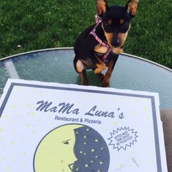 Mama Luna’s Restaurant & Pizzeria - 77 Reviews - Pizza - 7601 W Addison ...