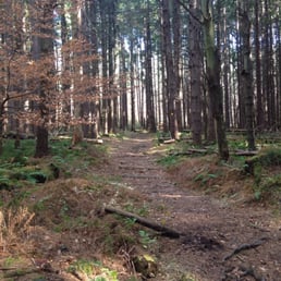 Erie County Forest - 10 Photos - Hiking - East Concord, NY - Phone ...