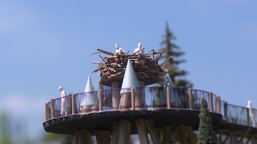 The Wild Center - 158 Photos & 52 Reviews - Museums - 45 Museum Dr ...