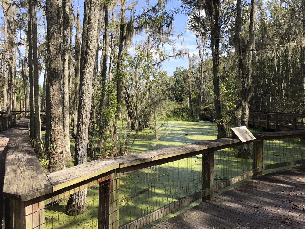 Audubon Swamp Gardens - 39 Photos & 15 Reviews - Parks - 3550 Ashley ...
