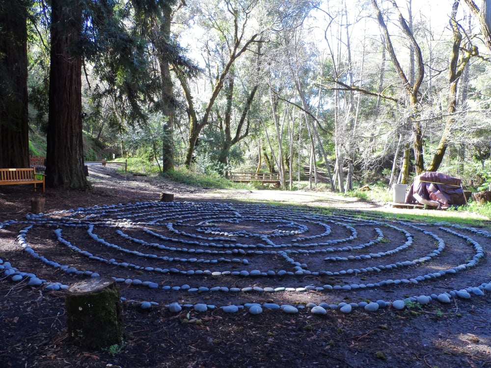 Hoffman Institute Foundation - Community Service/Non-Profit - 1299 4th ...