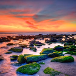 Bronte Beach Pool - 73 Photos & 15 Reviews - Swimming Pools - Bronte Rd ...