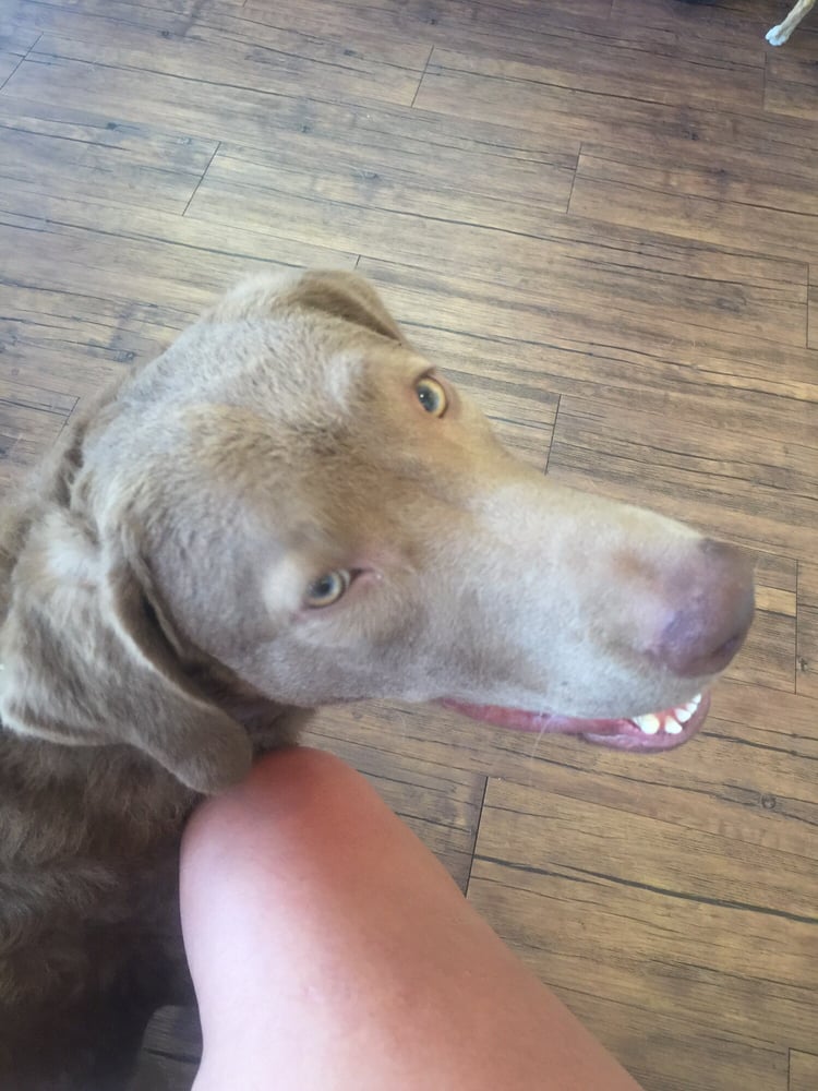 The KAAWS Clinic - 15 Photos & 56 Reviews - Veterinarians - 17259 Fm ...