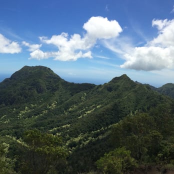 Mt Ka’ala Trail - 245 Photos & 40 Reviews - Hiking - Northern End Of ...