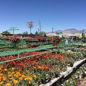 Mesquite Valley Growers Nursery - 212 Photos & 92 Reviews - Nurseries ...