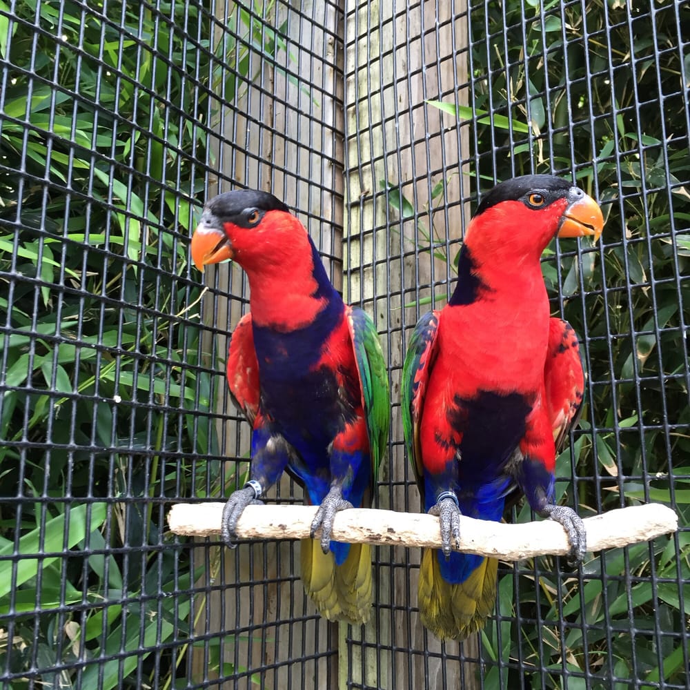 Tanganyika Wildlife Park - 82 Photos & 28 Reviews - Zoos - 1000 S ...