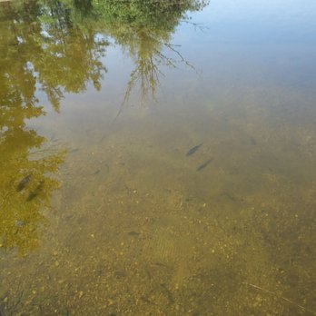 Deep Lake Unit Rustic Campground - 23 Photos - Hiking - Deep Lake Rd ...