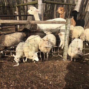 Powers Farm Market - 113 Photos & 26 Reviews - Farmers Market - 161 ...