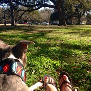 Menil Park - 38 Photos & 36 Reviews - Parks - 1450 Branard St, Montrose ...