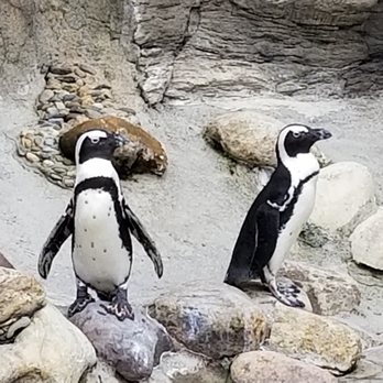 Essex County Turtle Back Zoo - 861 Photos & 248 Reviews - Zoos - 560 ...