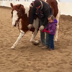 Wild Rose Equine Center - 27 Photos - Horse Boarding - 17105 Old Pike ...