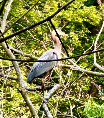 Readington, NJ Map & Directions - MapQuest