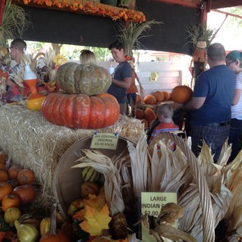 Tolmachoff Farms - 110 Photos & 77 Reviews - Pumpkin Patches - 5725 N ...