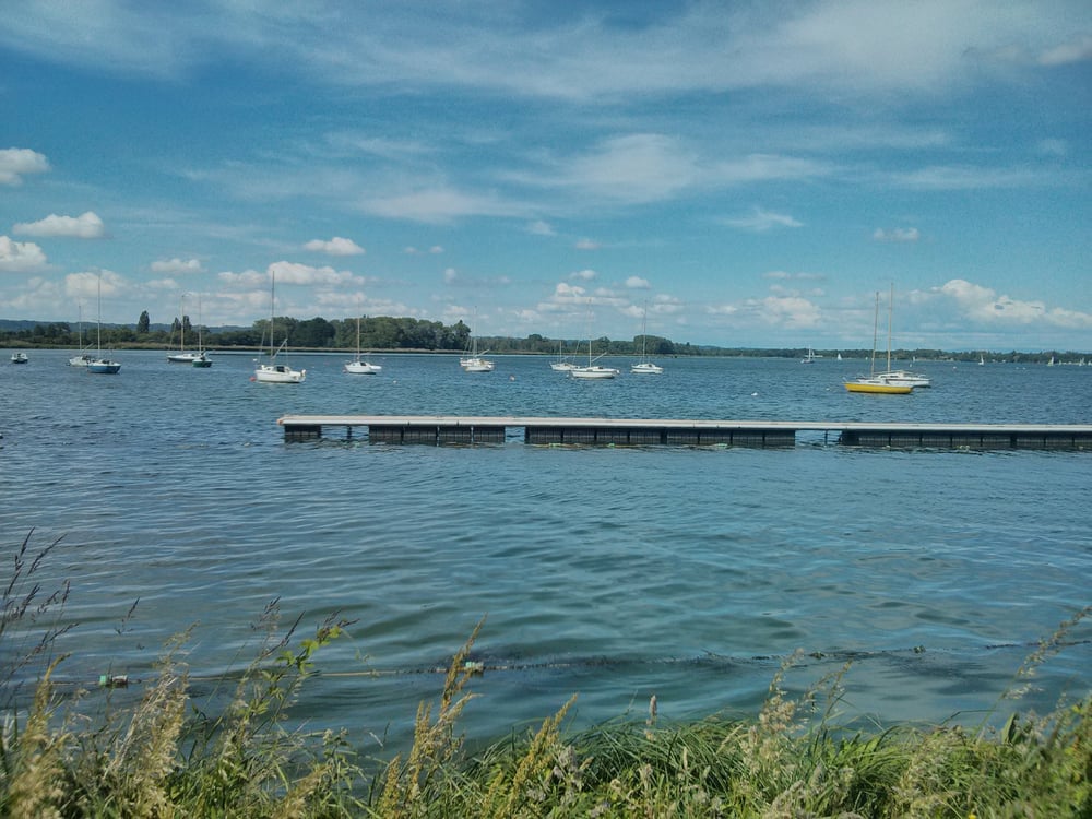 Réservoir du Grand-Large - 36 Photos - Lakes - Le Grand Large, Décines ...