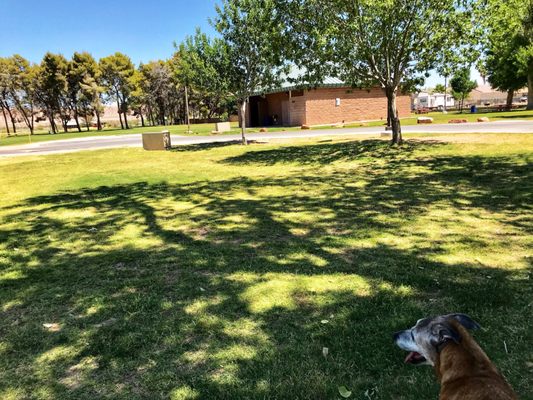 Logandale, NV Map & Directions - MapQuest