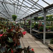 Strange’s Florists Greenhouses & Garden Centers - 26 Photos & 31 ...