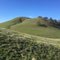Diablo Foothills Regional Park - 108 Photos & 38 Reviews - Parks - 1700 ...