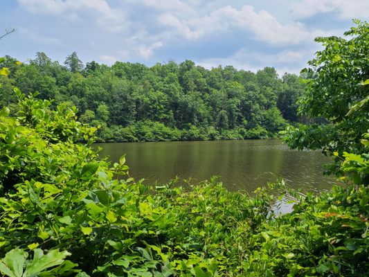 Dillwyn, VA Map & Directions - MapQuest