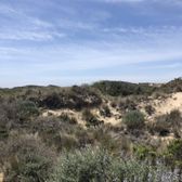 Pacific Dunes Riding Ranch - 70 Photos & 93 Reviews - Horseback Riding ...