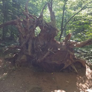 Ringing Rocks Park - 97 Photos & 43 Reviews - Parks - Ringing Rocks Rd ...