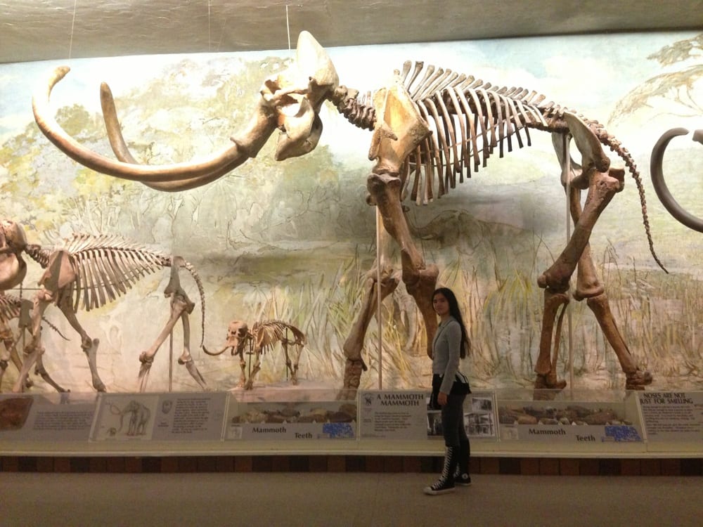 Morrill Hall - 11 Photos & 13 Reviews - Museums - 841 N 14th, Lincoln ...