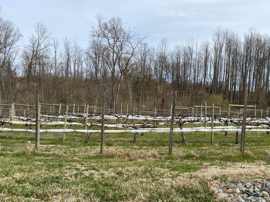 West River, MD Map & Directions - MapQuest