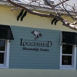 Loggerhead Park - 12 Photos - Beaches - 14200 US Highway 1, Juno Beach ...