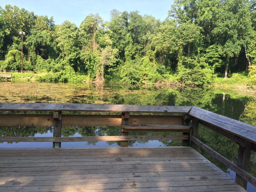 Patapsco State Park - Avalon Area - 97 Photos & 31 Reviews - Parks ...