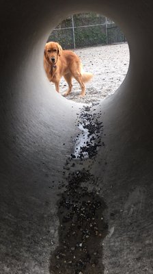 Disputanta, VA Map & Directions - MapQuest