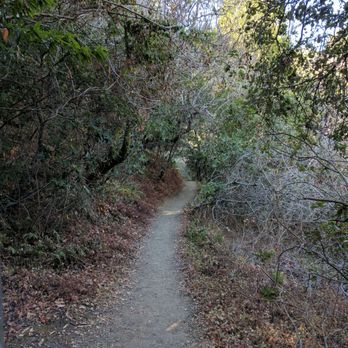 Edgewood Park & Natural Preserve - 453 Photos & 126 Reviews - Parks ...