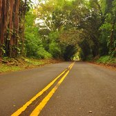 Judd Trail - 269 Photos & 76 Reviews - Hiking - Nuuanu Pali Dr ...