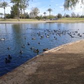 Freestone Park - 60 Photos & 42 Reviews - Parks - 1045 E Juniper Rd ...