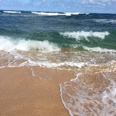 Sandy Beach Park - 484 Photos & 198 Reviews - Beaches - 8808 ...