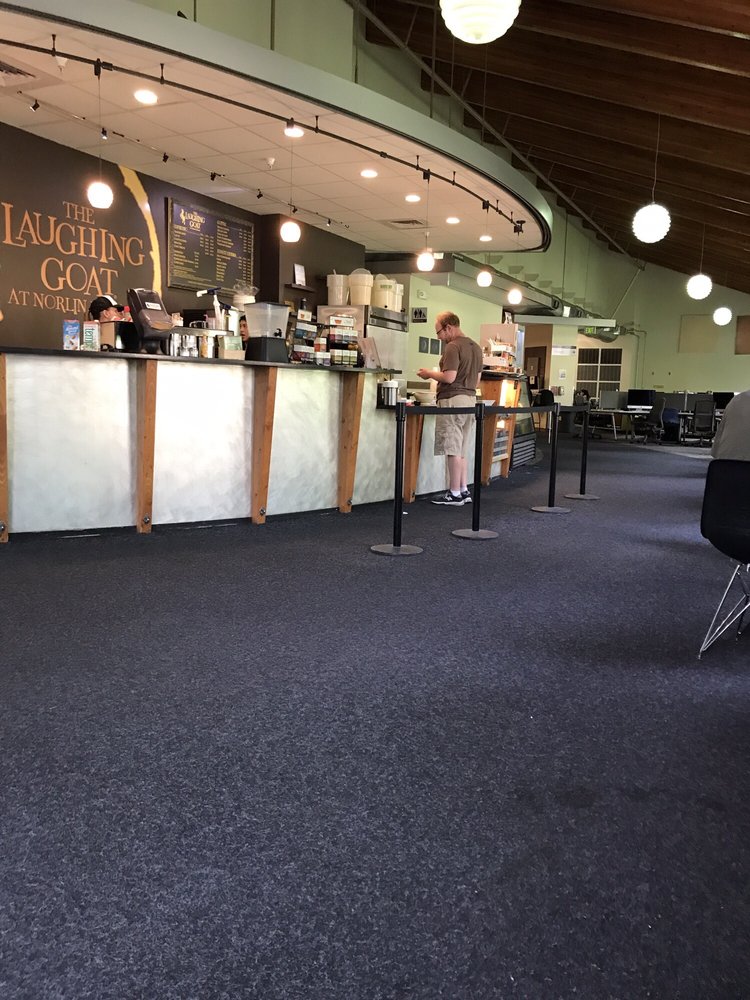 The Laughing Goat at Norlin Library, Boulder | Roadtrippers