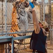 Vision Quest Ranch - 364 Photos & 184 Reviews - Bed & Breakfast - 400 ...