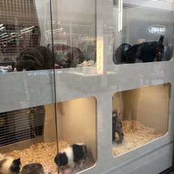Alley Cat Pet Center - 33 Photos & 67 Reviews - Pet Stores - 8700 NE ...