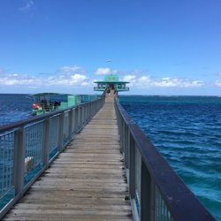 Fish Eye Marine Park - 18 Photos & 13 Reviews - Local Flavor - 818 N ...