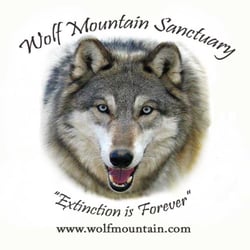 Wolf Mountain Sanctuary - 283 Photos & 103 Reviews - Animal Shelters ...