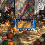 Alden Lane Nursery - 92 Photos & 103 Reviews - Nurseries & Gardening ...