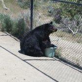 Animal Ark - (New) 309 Photos & 96 Reviews - Zoos - 1265 Deerlodge Rd ...