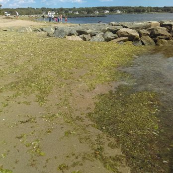 Oakland Beach - 61 Photos & 37 Reviews - Parks - Oakland Beach Ave ...