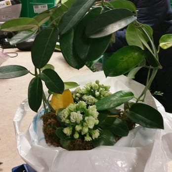 Yang’s Fruit & Flower Market - 17 Photos - Florists - 132 Avenue Road ...