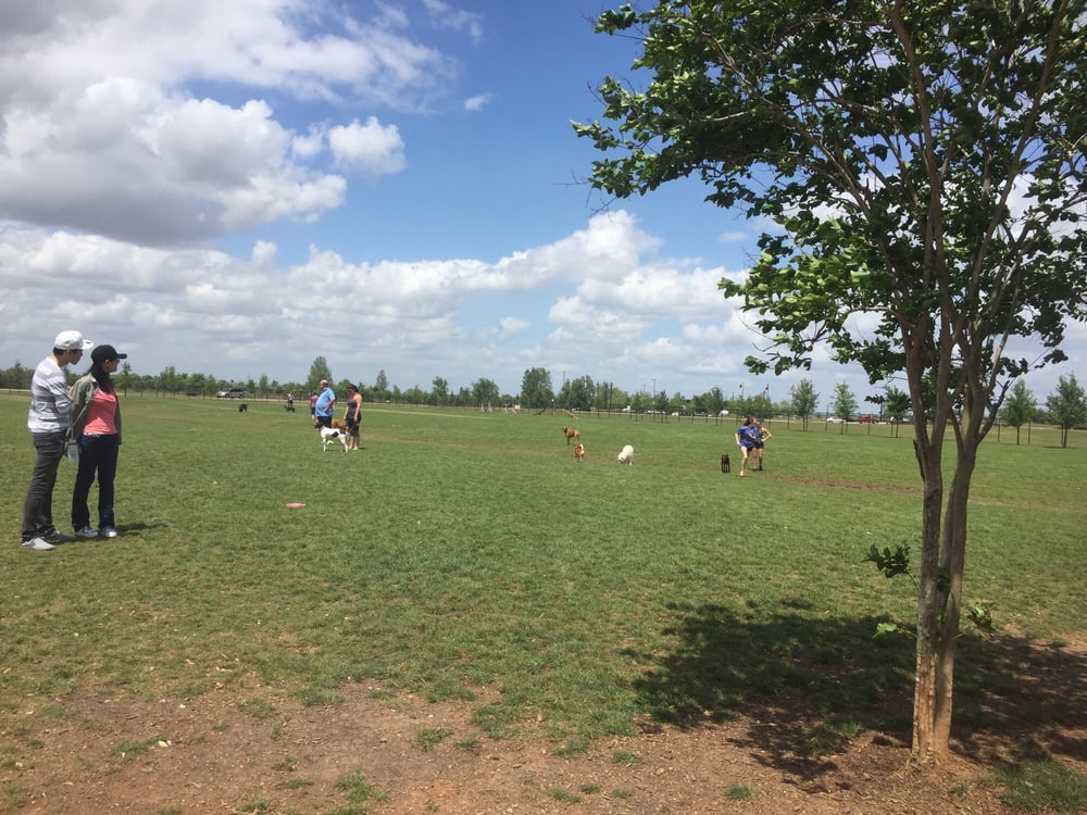 Pawm Springs Dog Park - 44 Photos & 54 Reviews - Dog Parks - 15300 ...